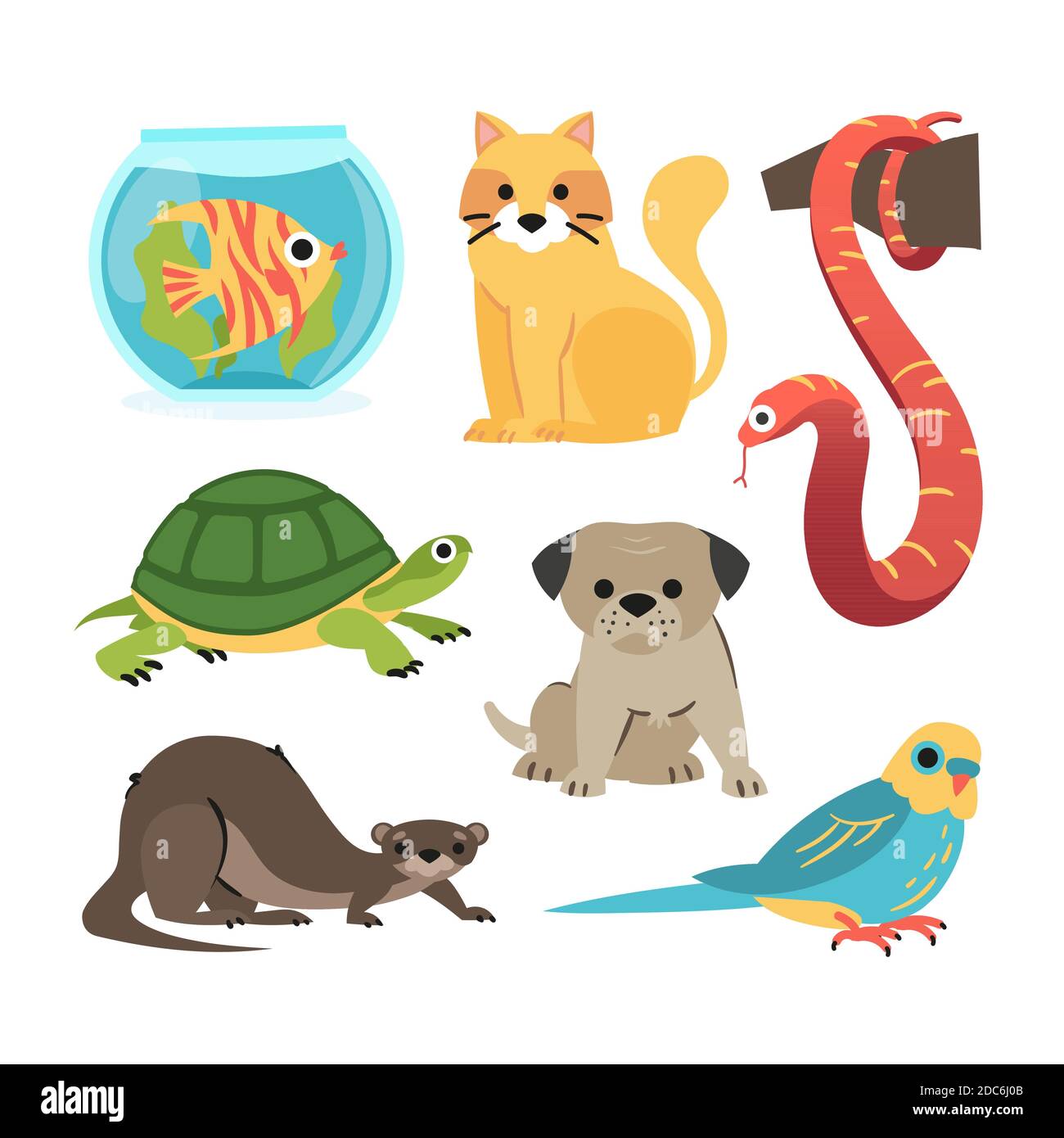Different pets concept Vector illustration Stock Vector Image & Art - Alamy