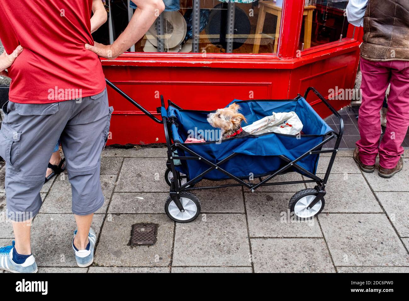 Local People Transporting Their Dog In A Cart, High Street, Lewes, East ...
