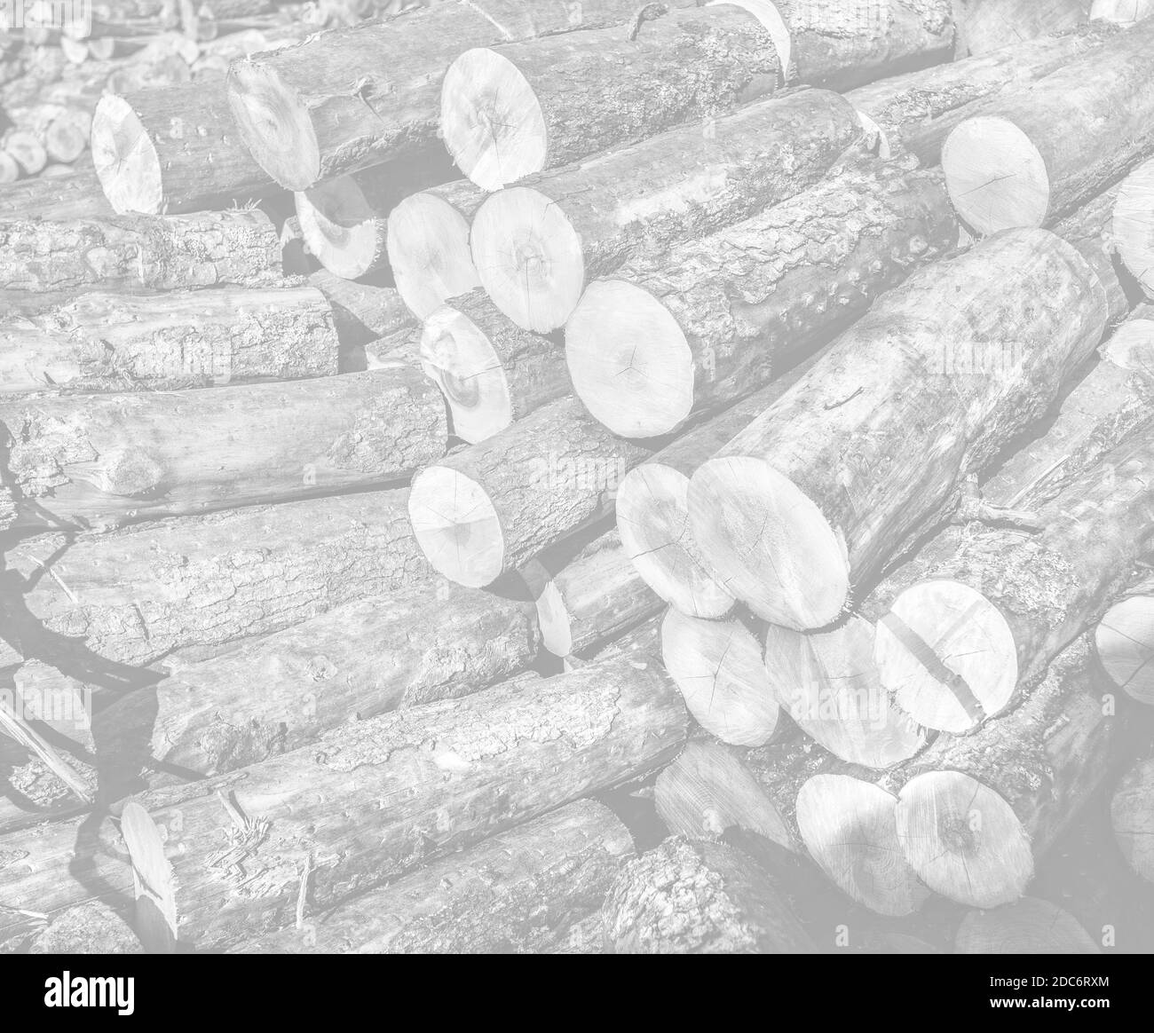 Pile of wood logs ready for winter. Image in light gray tonality Stock ...