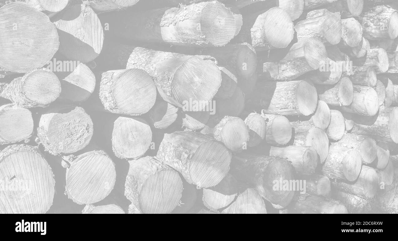 Pile of wood logs ready for winter. Image in light gray tonality Stock ...