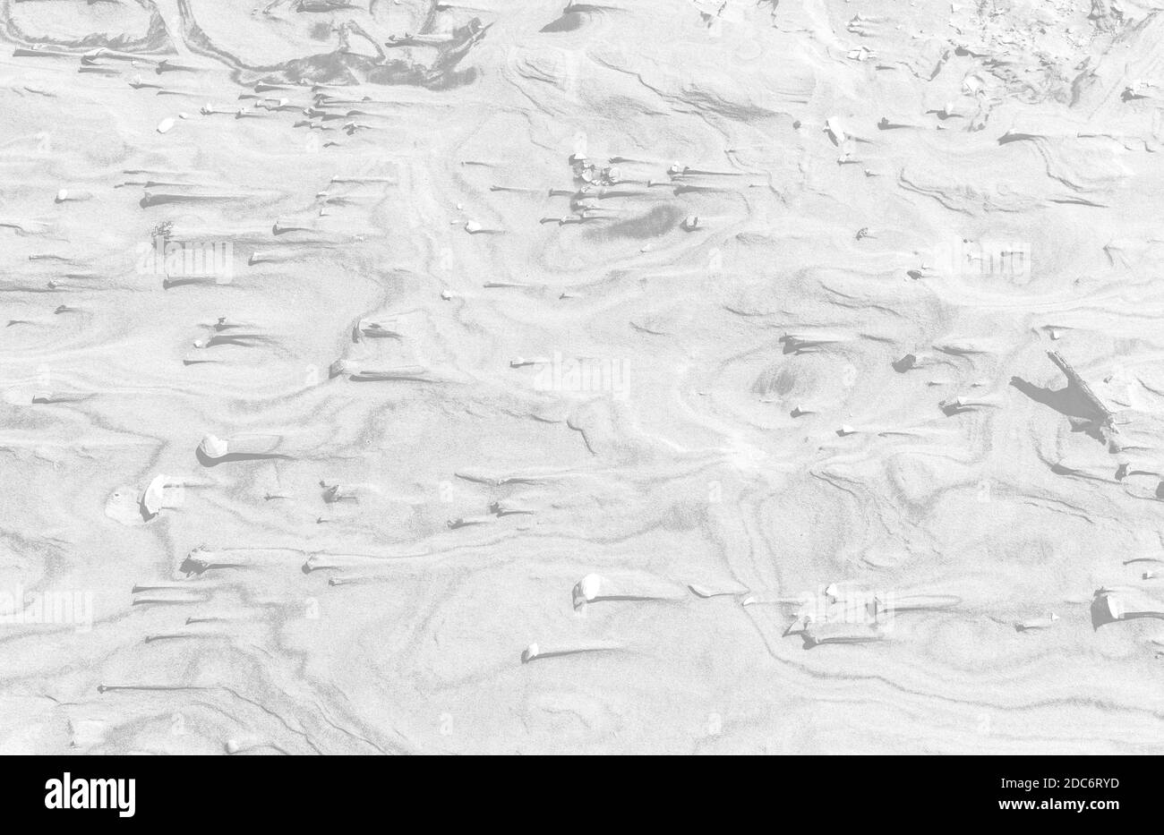 Texture of sandy beach with shells. Image in light gray tonality Stock ...