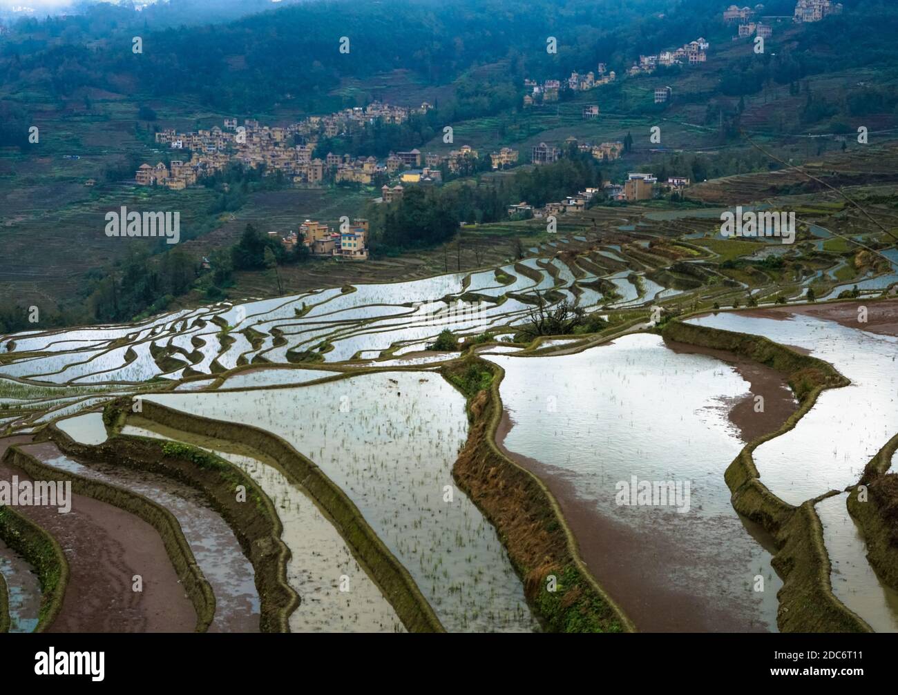 Rice terraces, Yunnan, China Stock Photo - Alamy