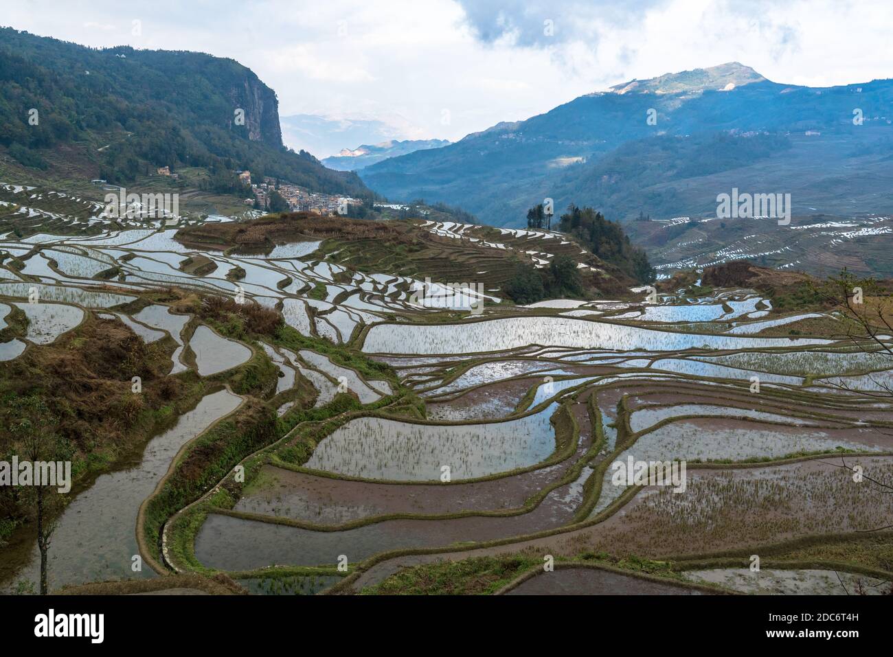 Rice terraces, Yunnan, China Stock Photo - Alamy