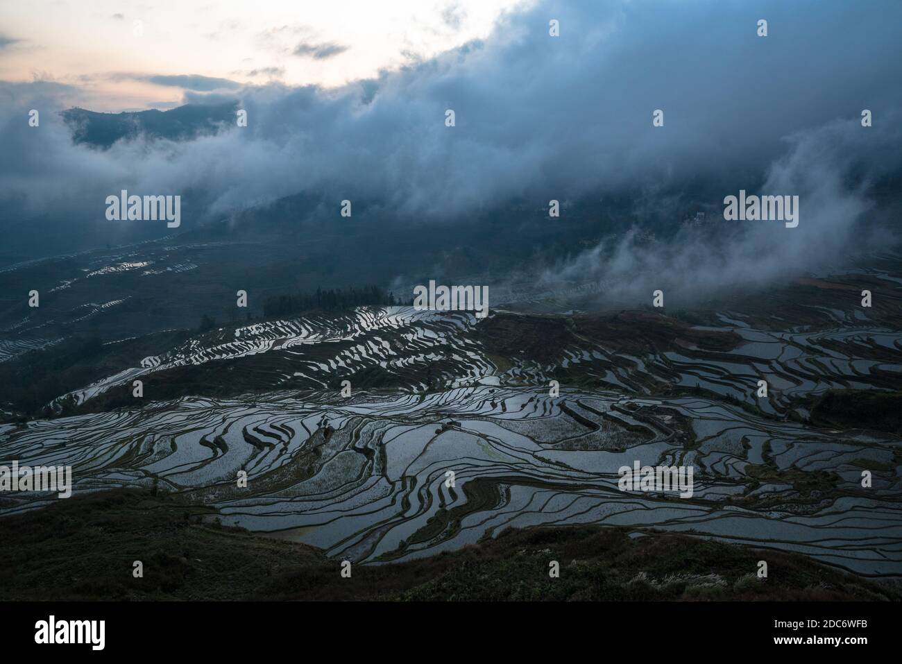 Rice terraces, Yunnan, China Stock Photo - Alamy