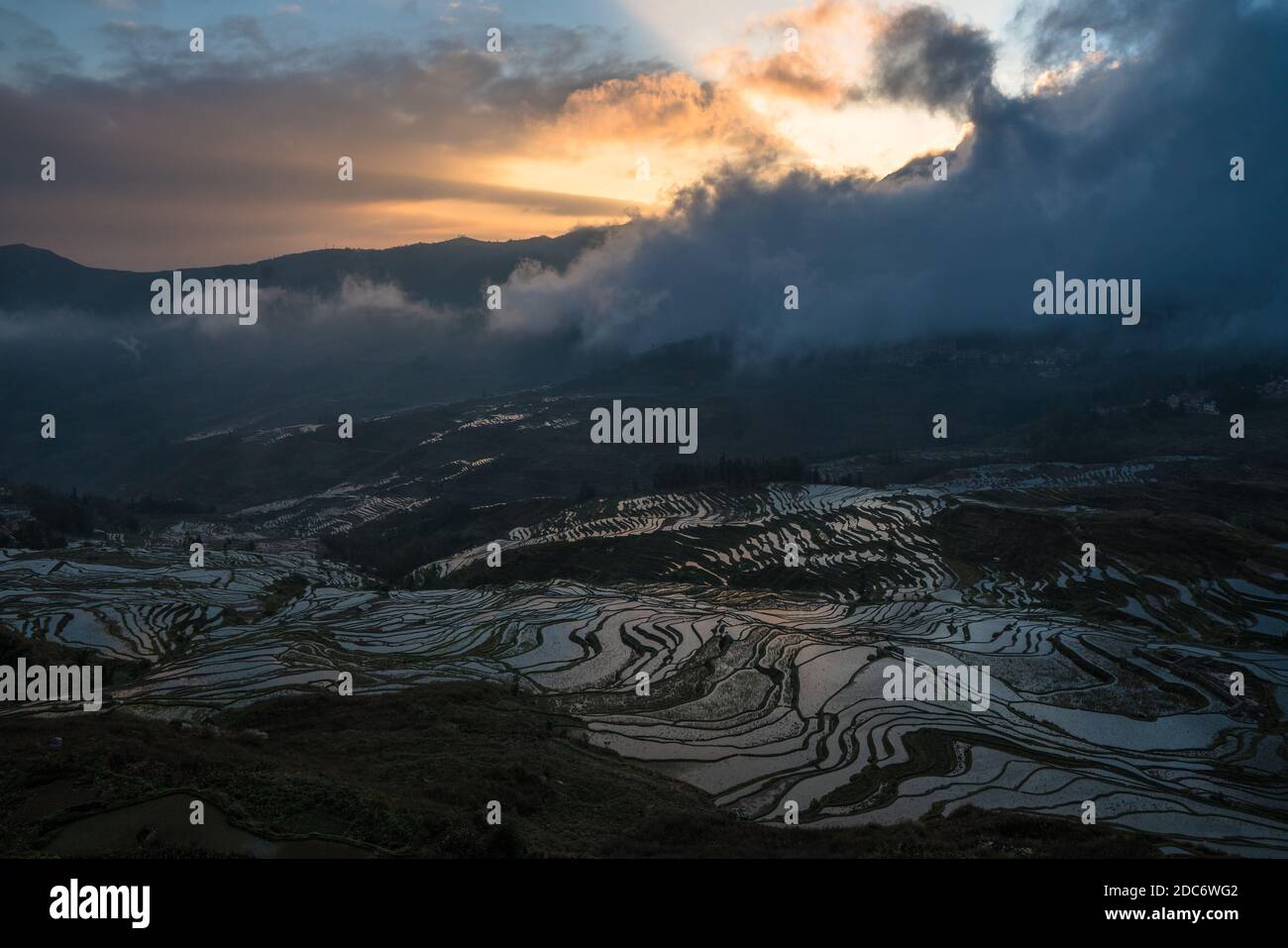Rice terraces, Yunnan, China Stock Photo - Alamy