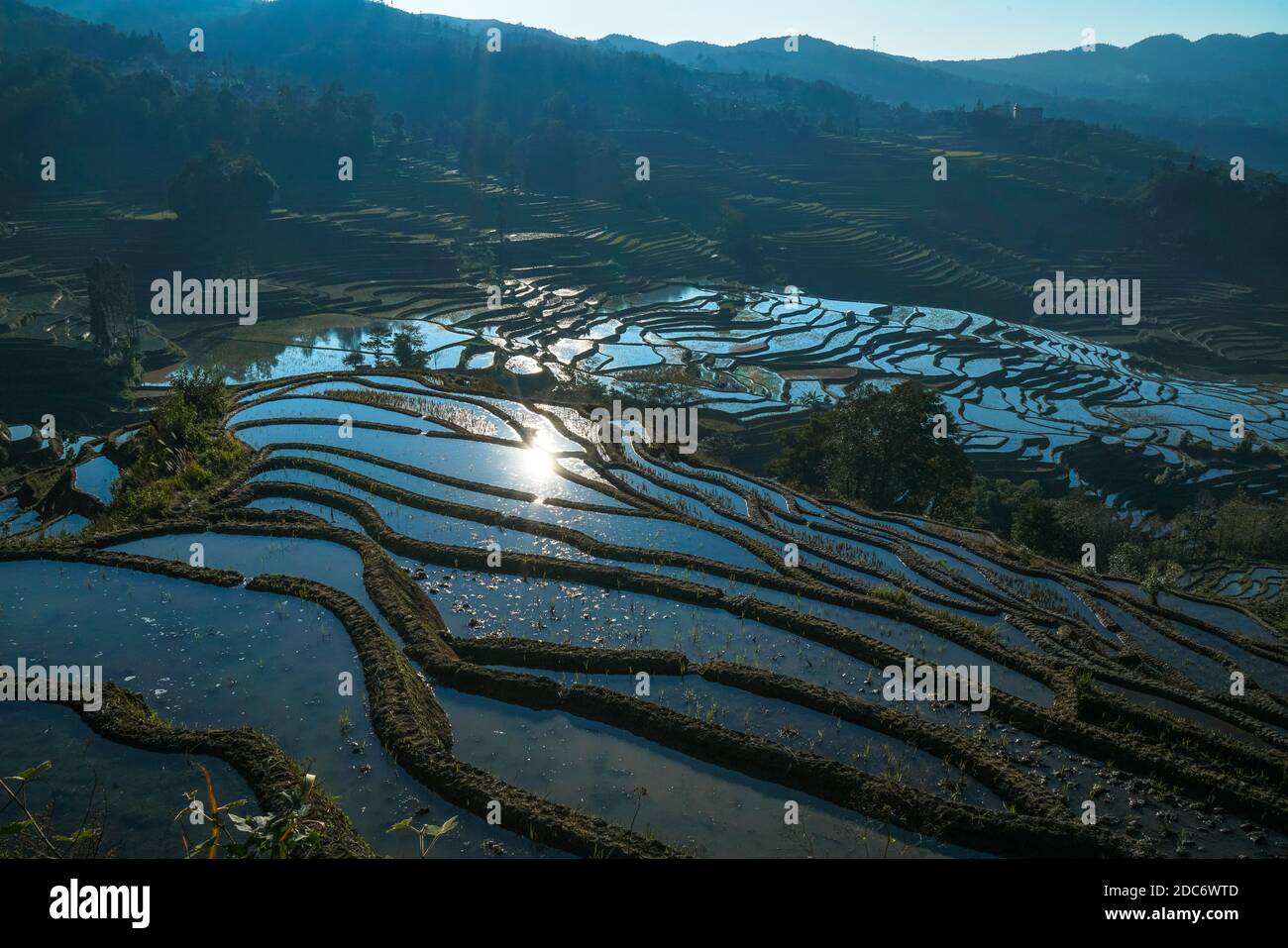 Rice terraces, Yunnan, China Stock Photo - Alamy