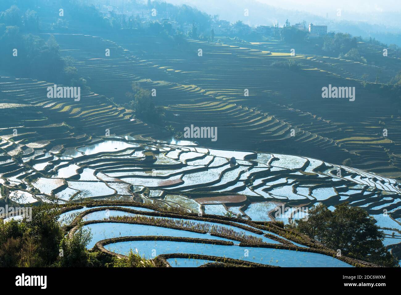 Rice terraces, Yunnan, China Stock Photo - Alamy