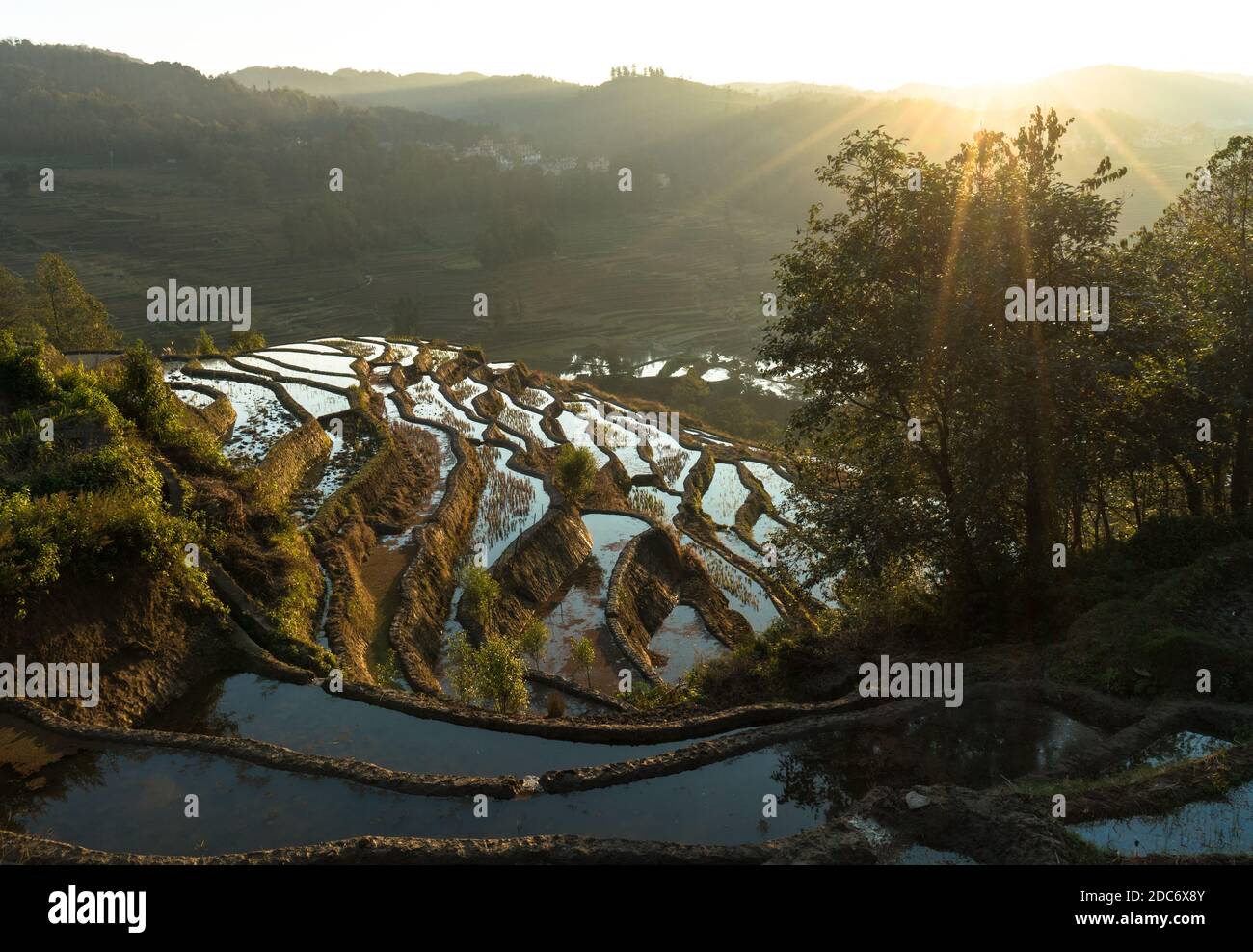 Rice terraces, Yunnan, China Stock Photo - Alamy