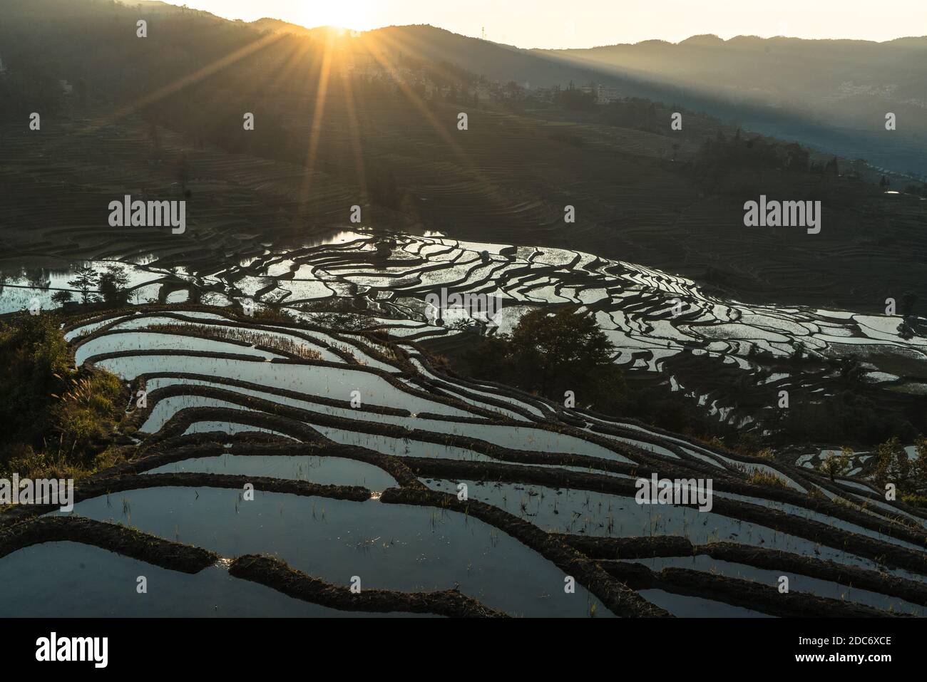 Rice terraces, Yunnan, China Stock Photo - Alamy