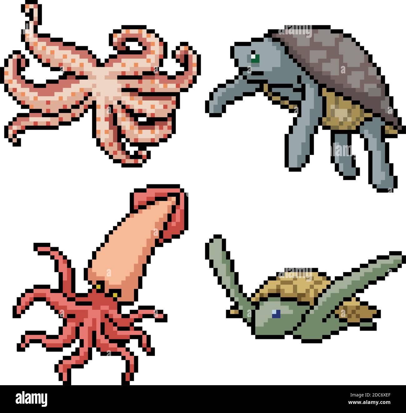 Squid shell Stock Vector Images - Alamy