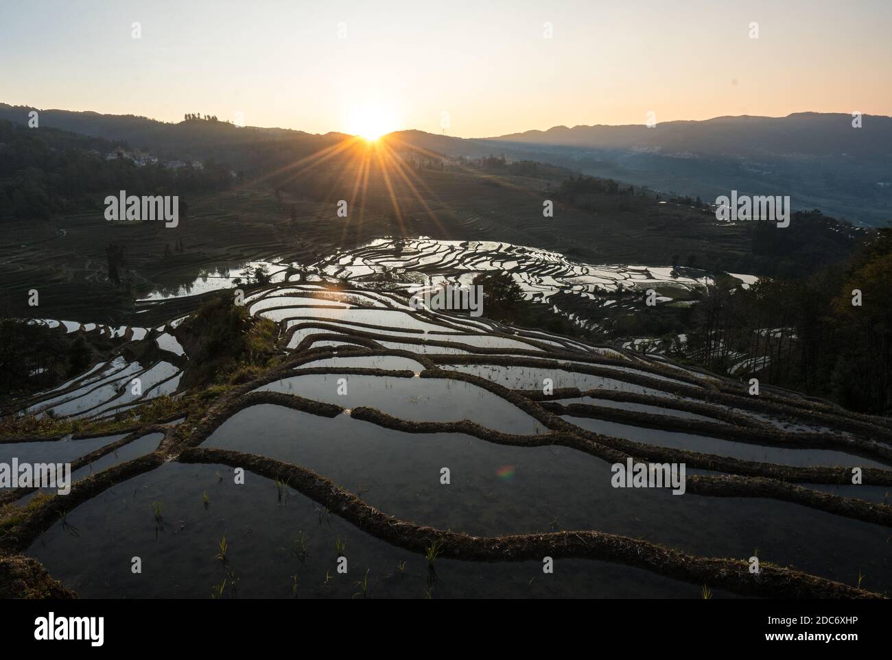 Rice terraces, Yunnan, China Stock Photo - Alamy