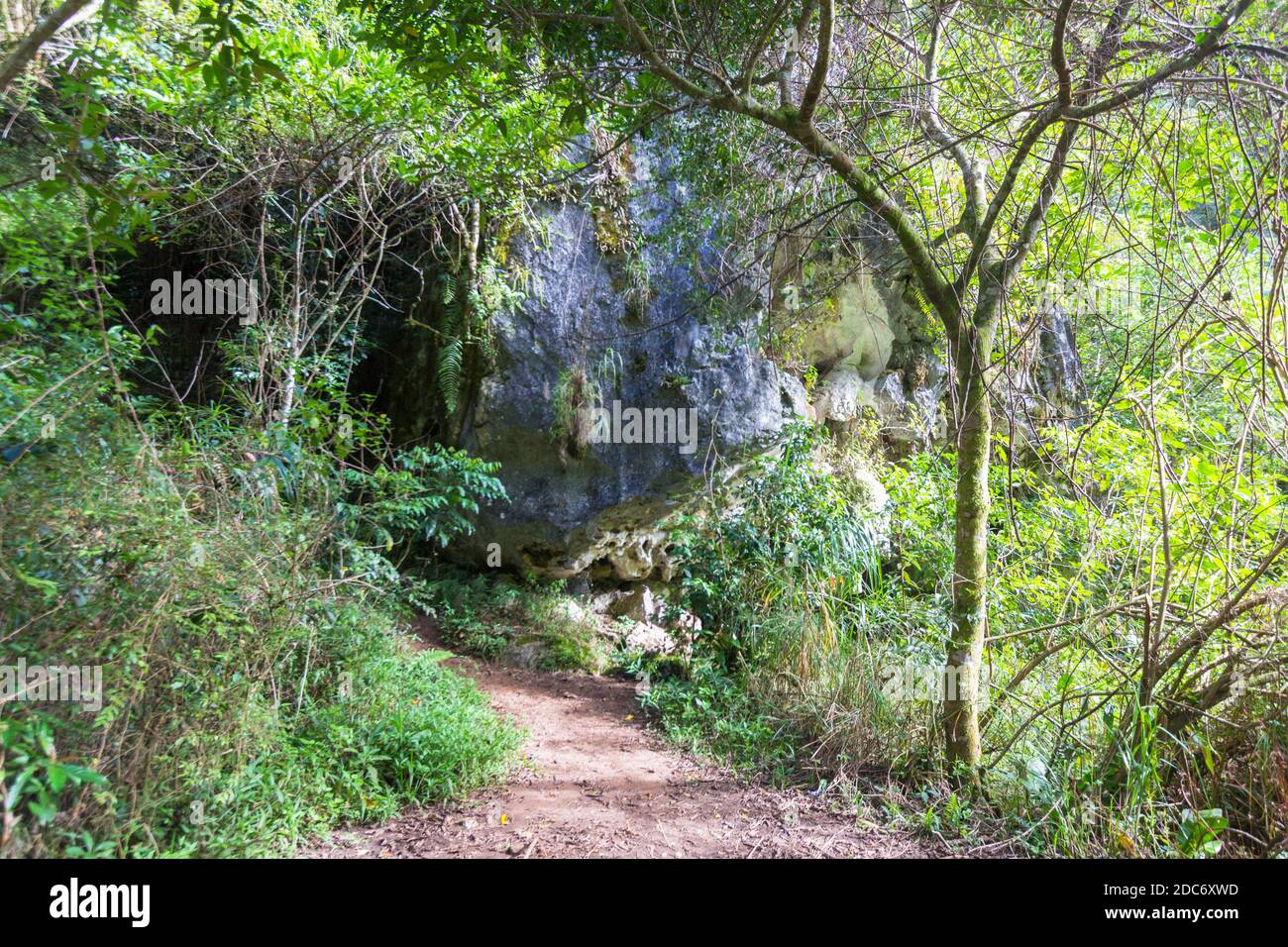 Mountain trail in Sagada, Philippines Stock Photo - Alamy