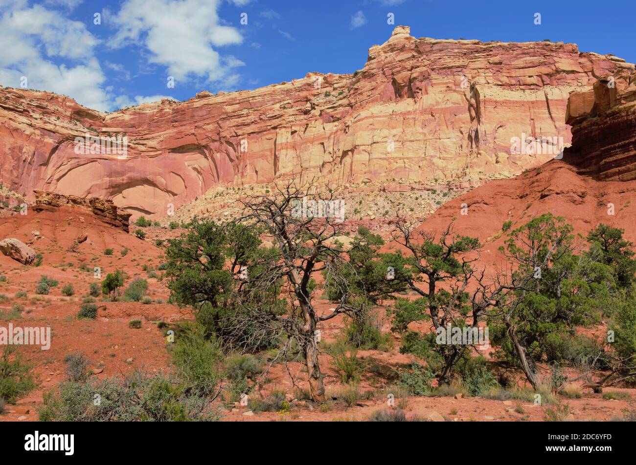 Panorama of Capitol Reef Stock Photo - Alamy