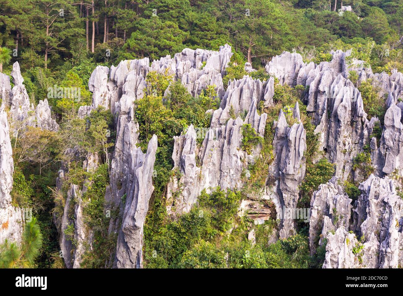 The rugged and mountainous landscape of Sagada, Philippines Stock Photo ...