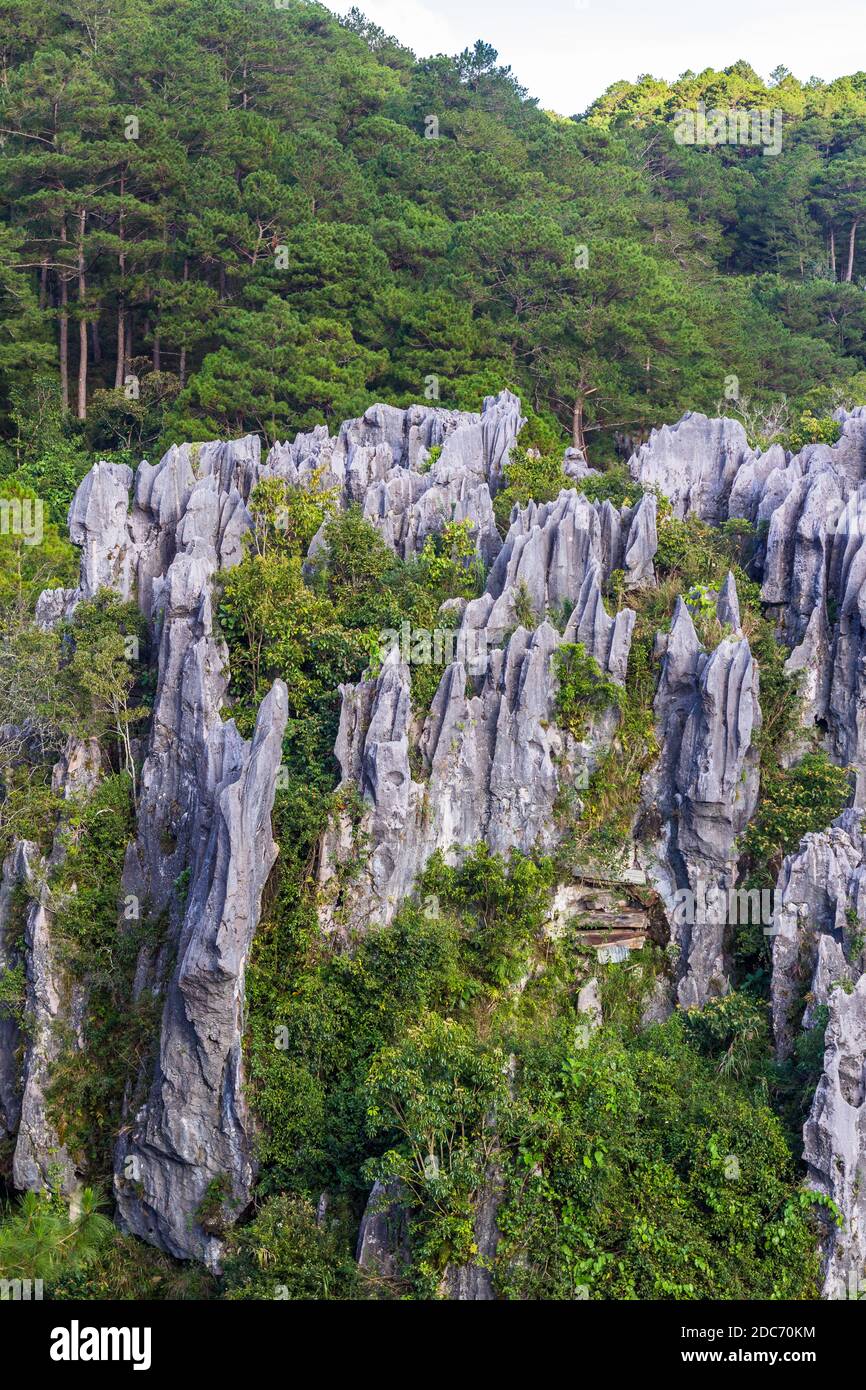 The rugged and mountainous landscape of Sagada, Philippines Stock Photo ...