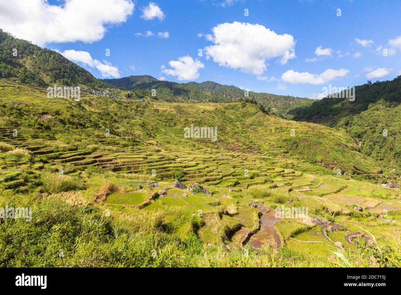 Rice terraces in Sagada, Philippines Stock Photo - Alamy