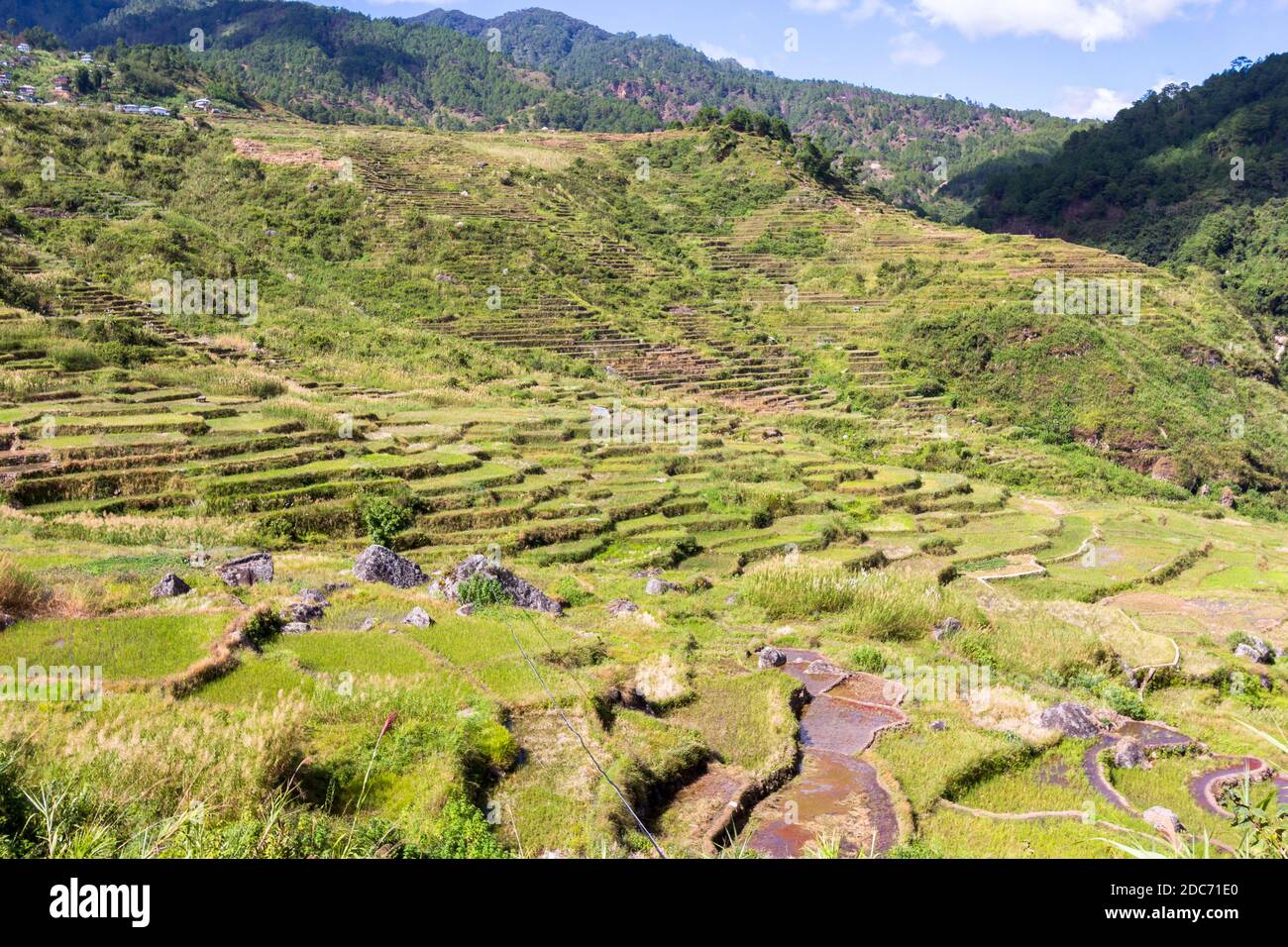 Rice terraces in Sagada, Philippines Stock Photo - Alamy