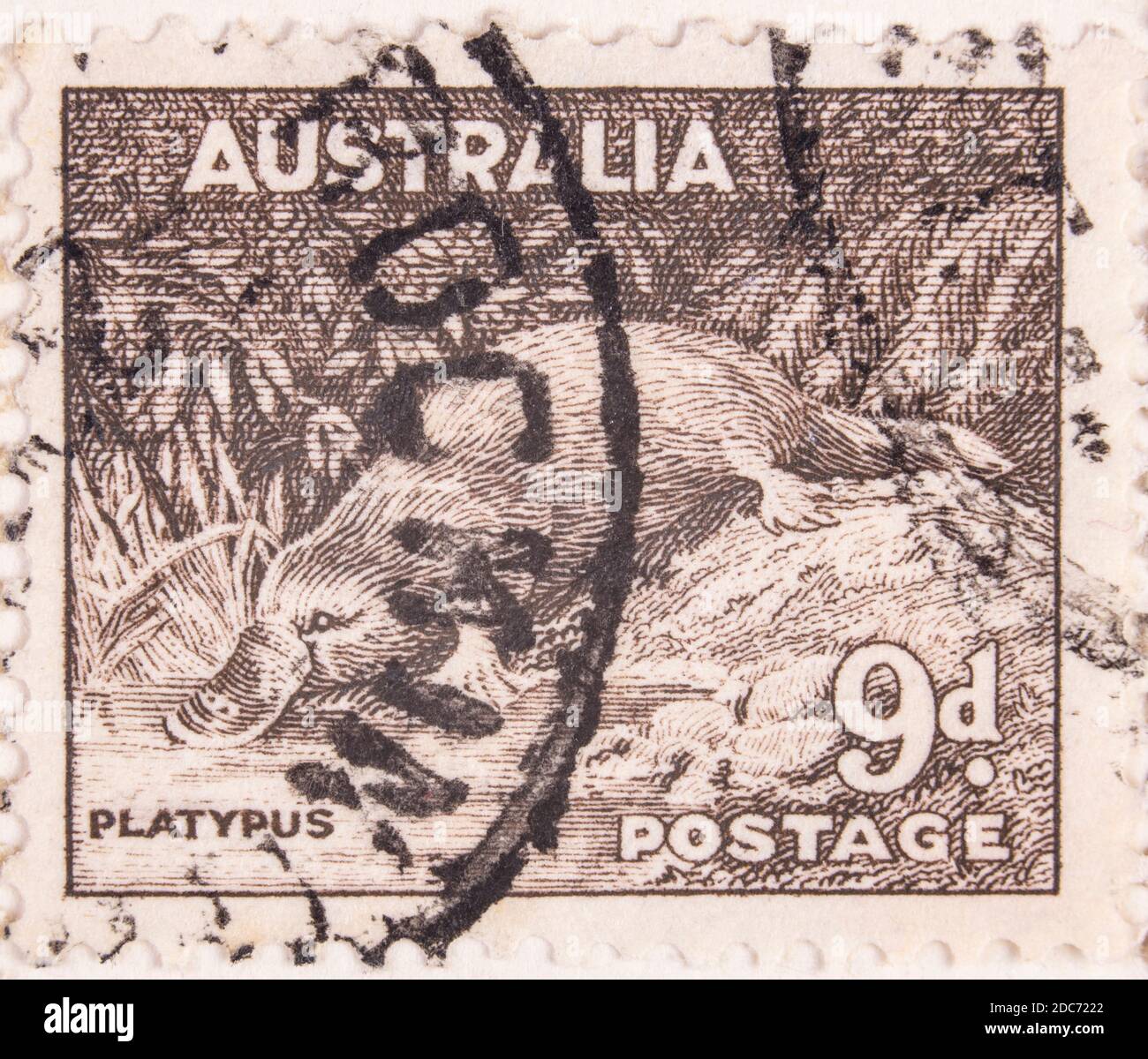 Platypus australia postage stamp hi-res stock photography and images ...