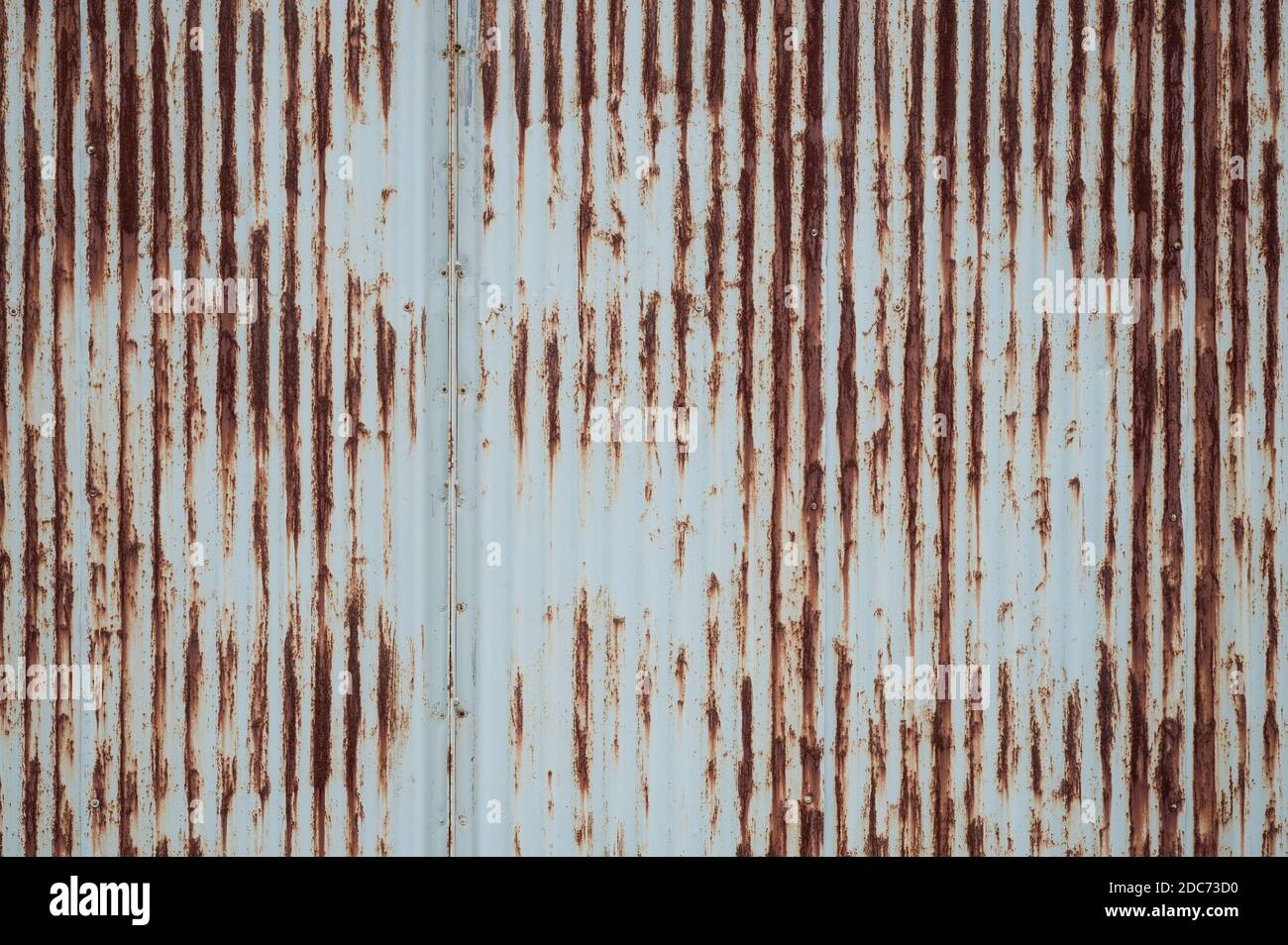rustic metal or sheet metal wall with peeling paint and rust as ...
