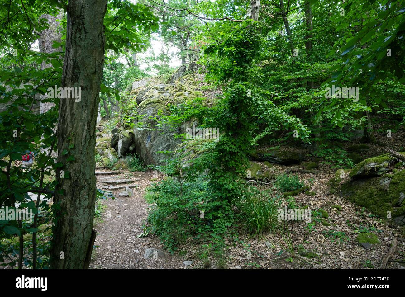 hiking in the taunus in the rhine-main area near frankfurt am main ...