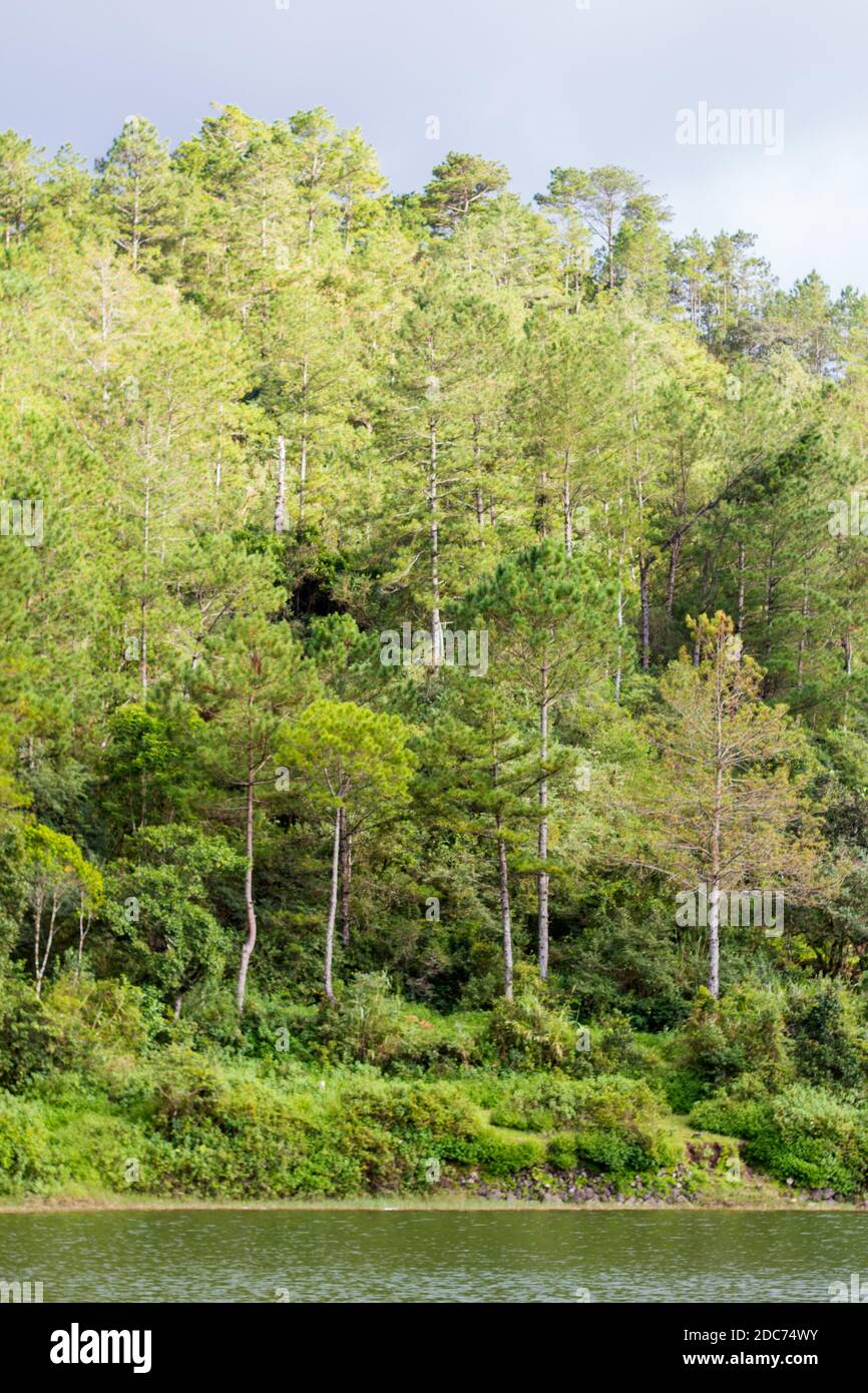 Serene Lake Danum in Sagada, Philippines Stock Photo - Alamy