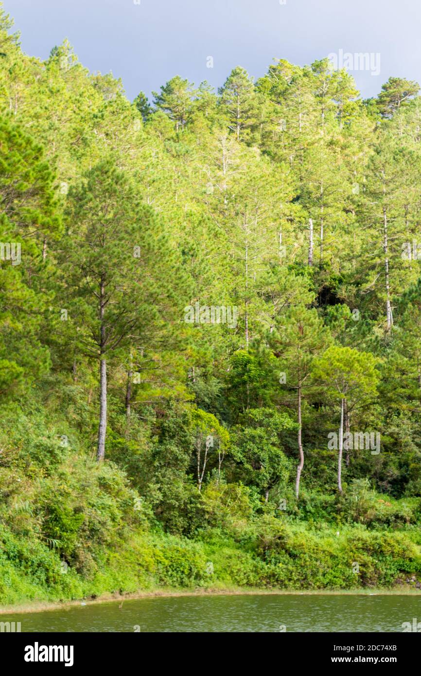 Serene Lake Danum in Sagada, Philippines Stock Photo - Alamy