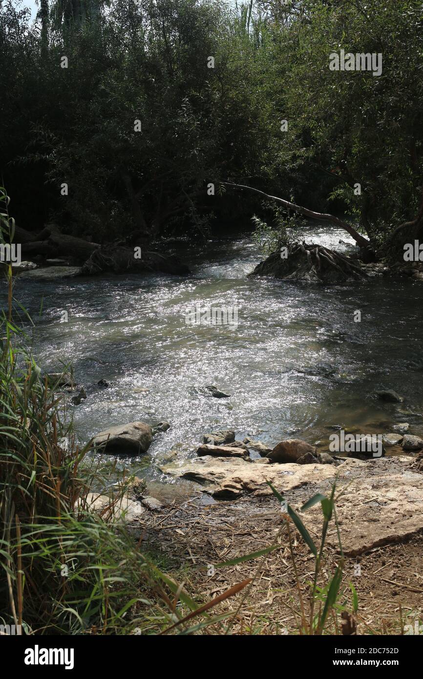 Reeds River Bank Riverbank High Resolution Stock Photography and Images ...