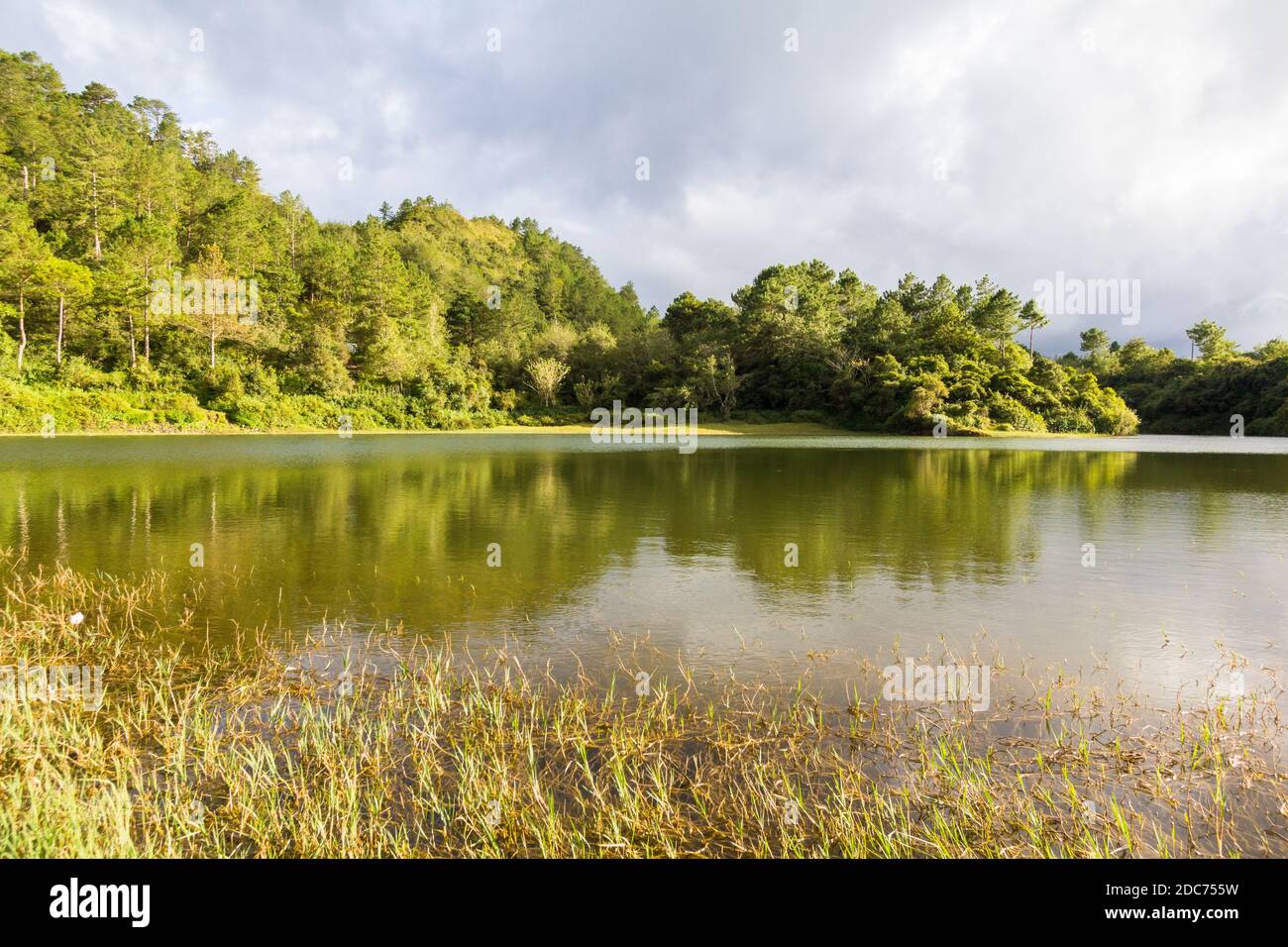 Lake Danum 1920x1200 Wallpaper HD Wallpaper: Wanaka New Zealand Lake
