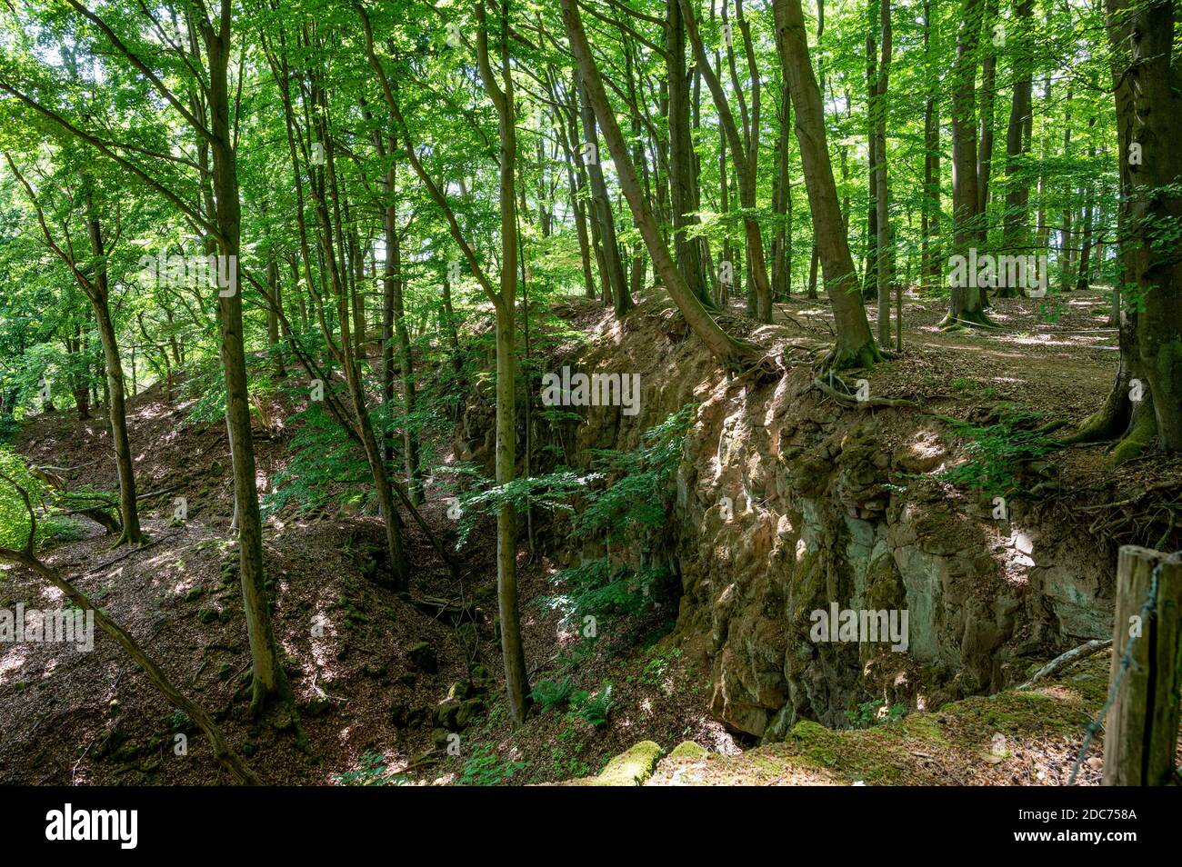 Central hesse hi-res stock photography and images - Alamy