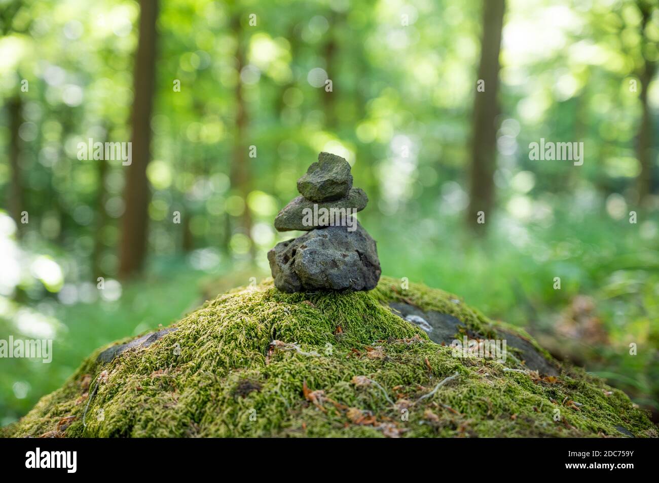 cairn on a hiking trail in the woods Stock Photo - Alamy