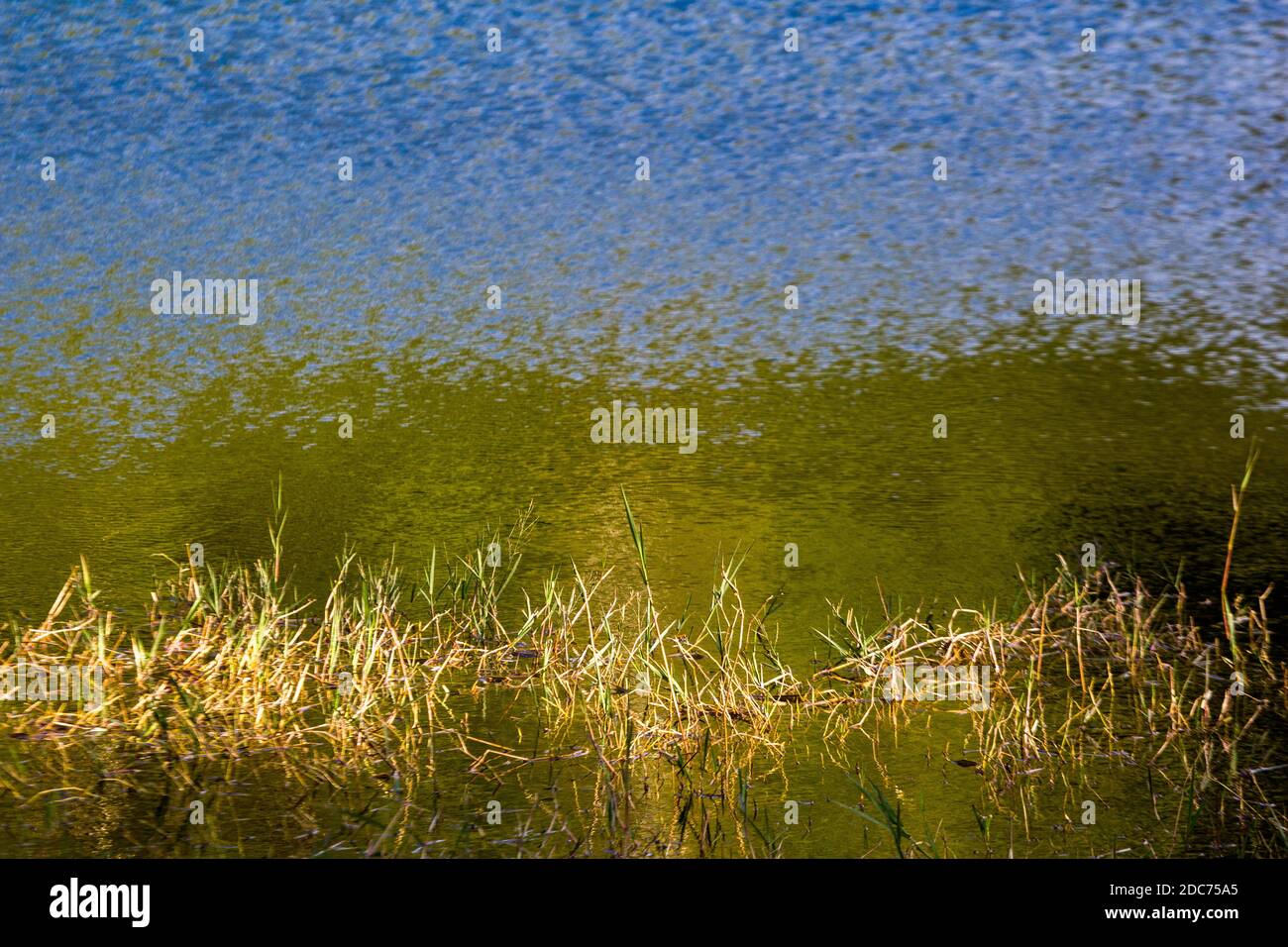 Serene Lake Danum in Sagada, Philippines Stock Photo - Alamy