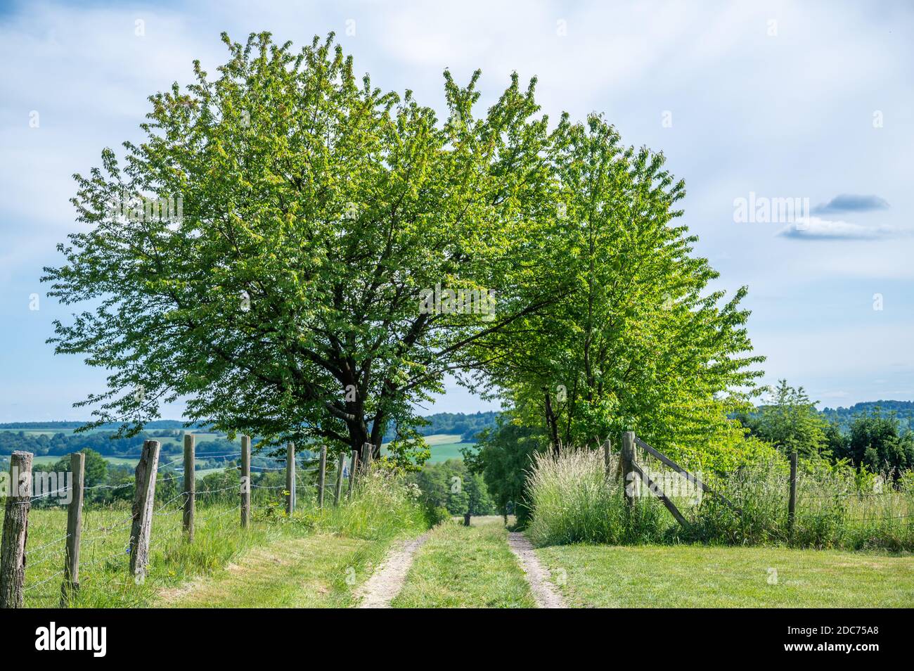 rural rural grazing land field path Stock Photo - Alamy