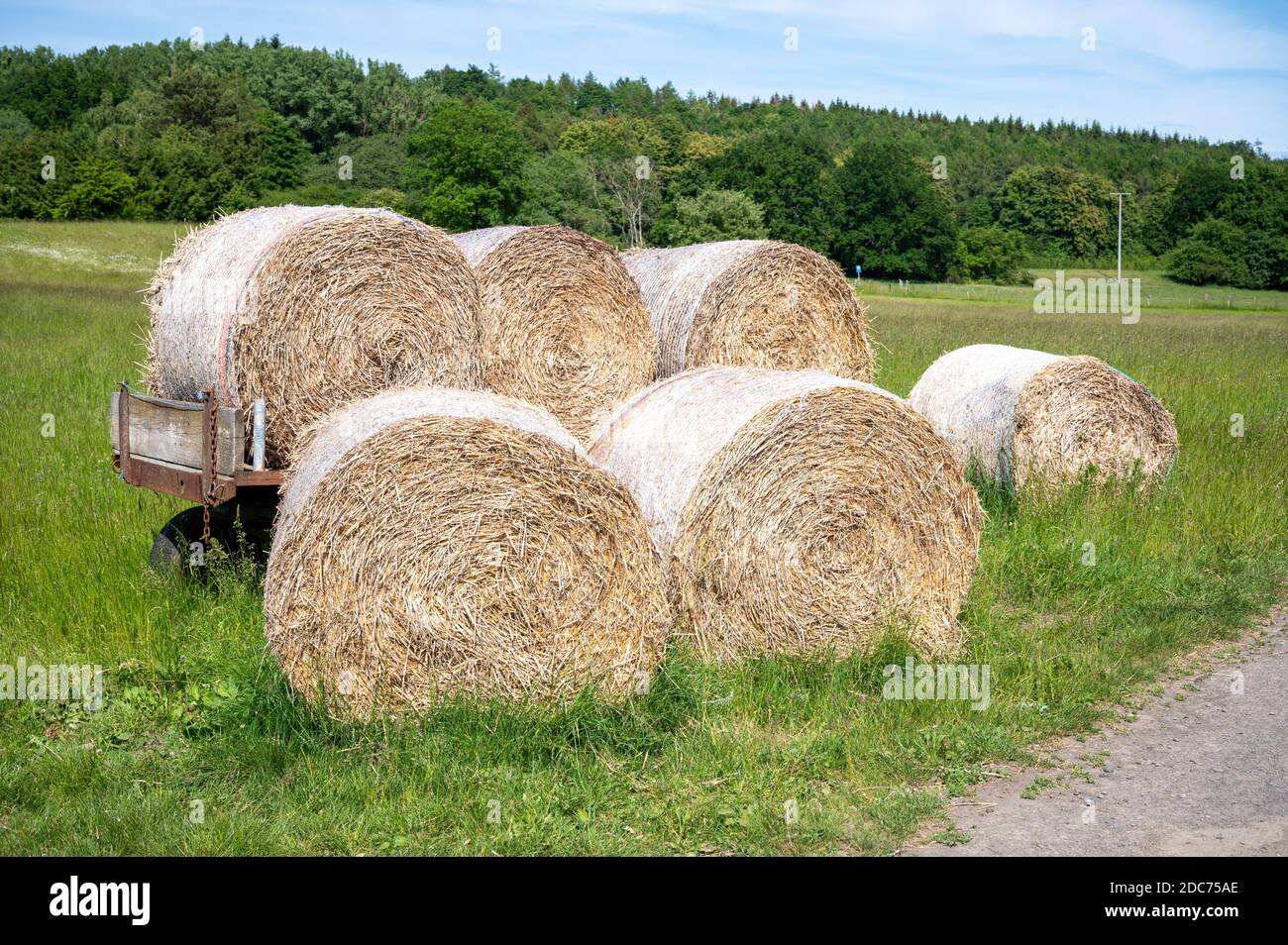 Bale straw on trailer in hi-res stock photography and images - Alamy