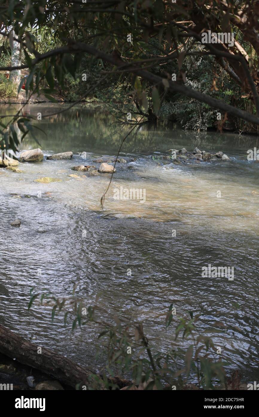 Reeds River Bank Riverbank High Resolution Stock Photography and Images ...