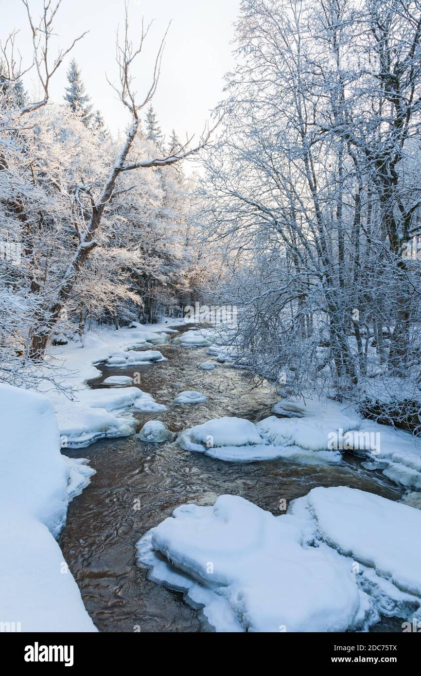 River in wintry forest landscape Stock Photo - Alamy