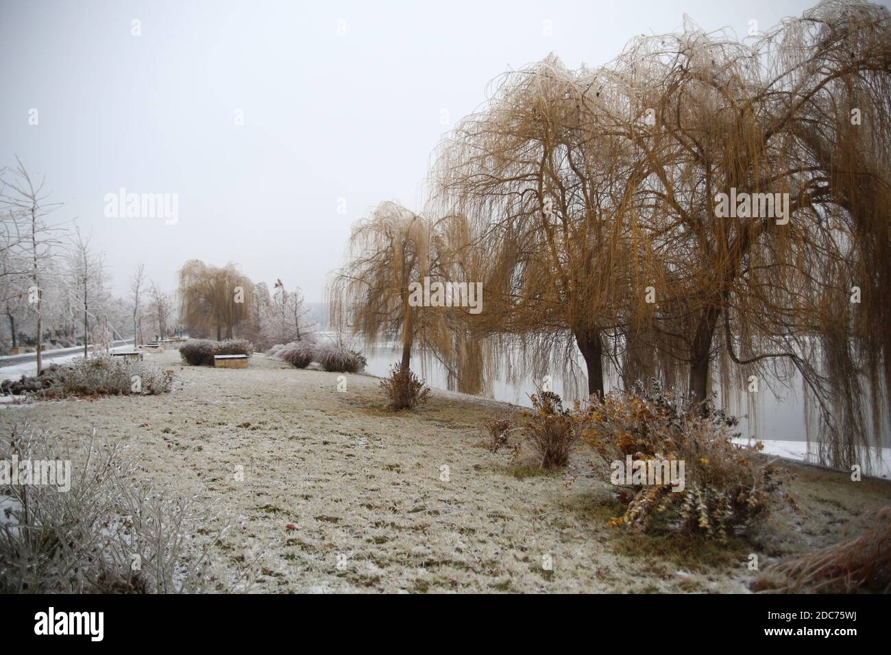 Park in winter with everything frozen, winter scene Stock Photo - Alamy