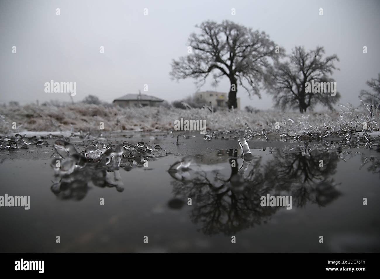Snow winter ice frost cold no one frozen frost hi-res stock photography ...