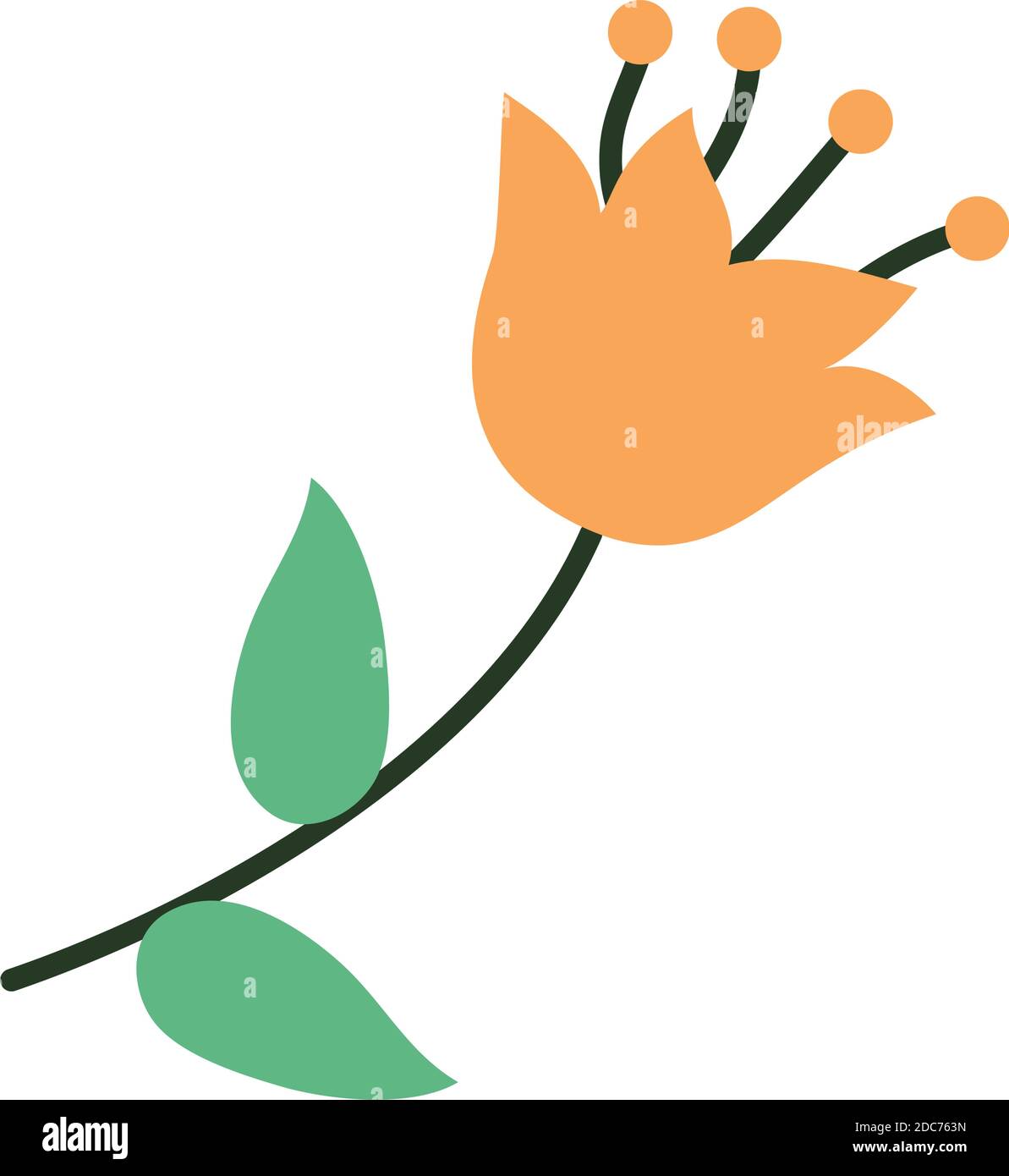 flower and leaves over white background, half color half line style ...