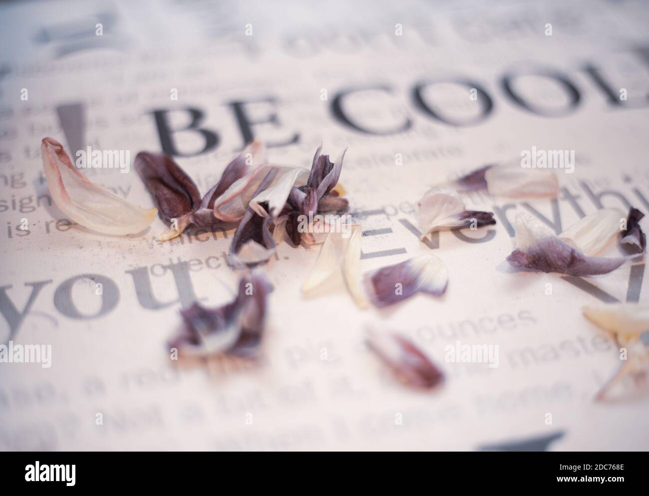 Flower petals crushed hi-res stock photography and images - Alamy