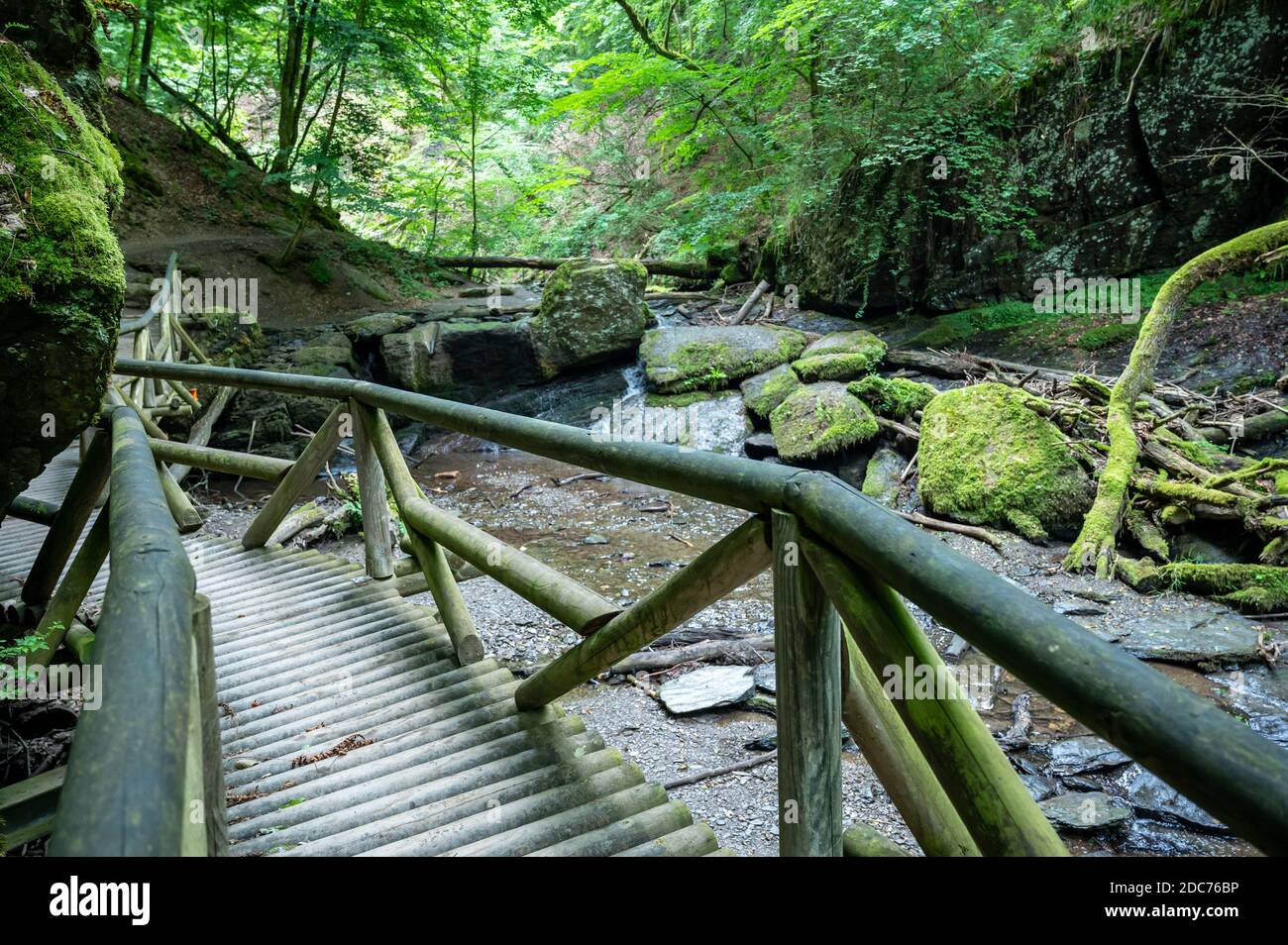 hiking trail along a stream in the forest with wooden bridges ...