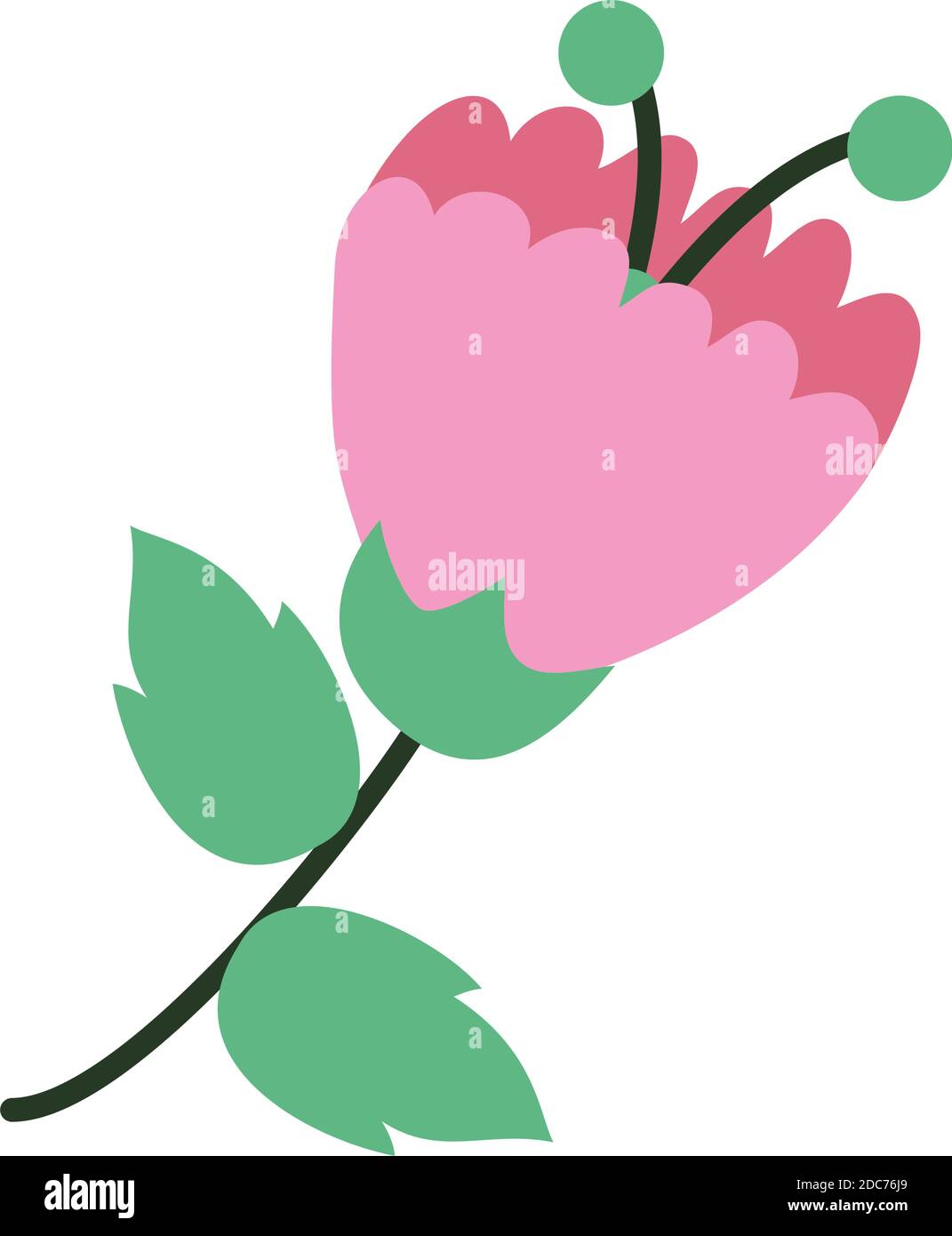 beautiful flower icon over white background, half line half color style ...