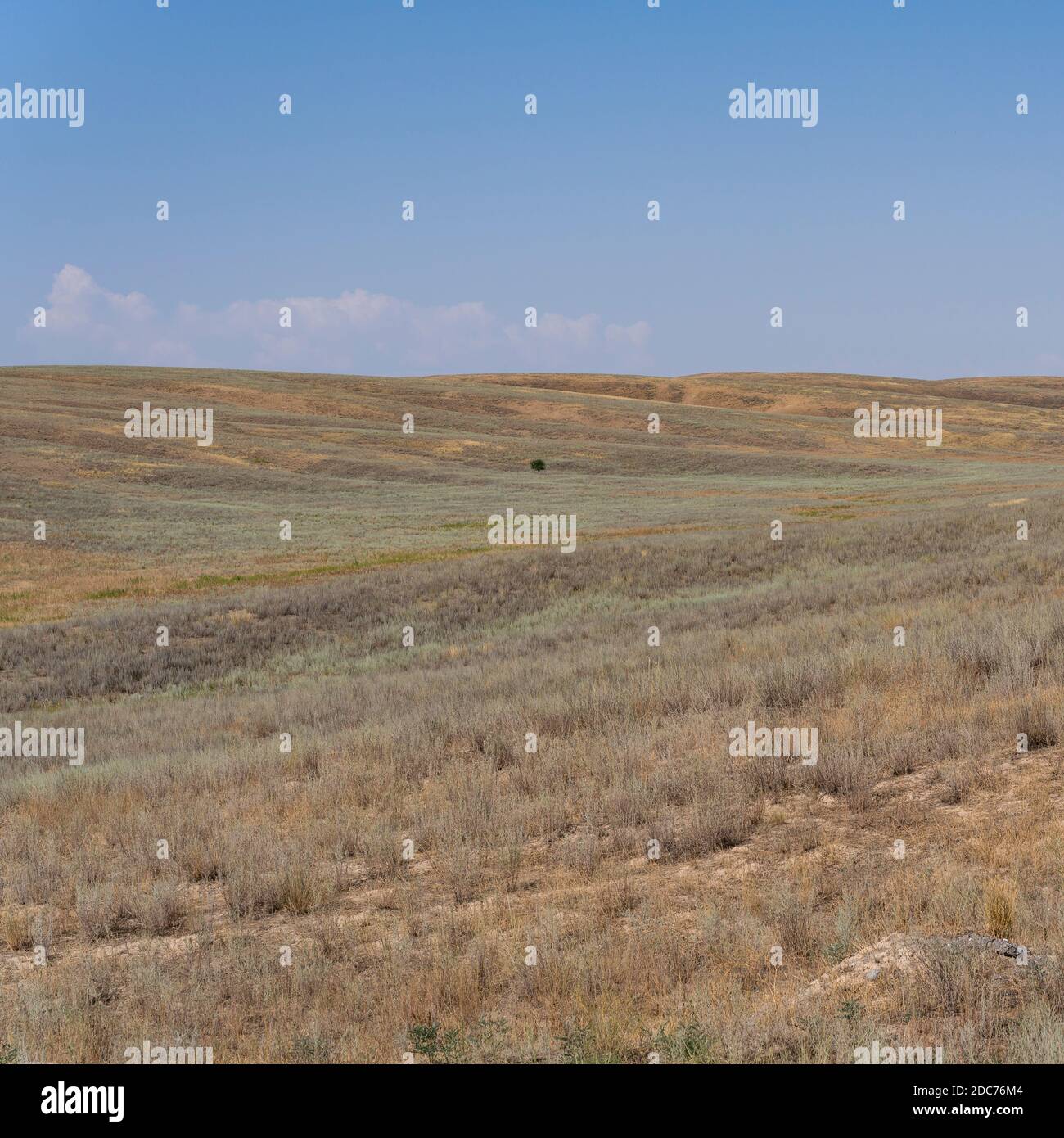 Kazakh steppe field hi-res stock photography and images - Alamy