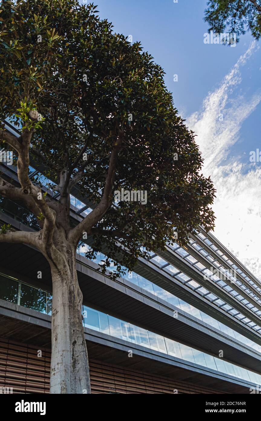 glass hotel with green tree and blue clouds Stock Photo - Alamy