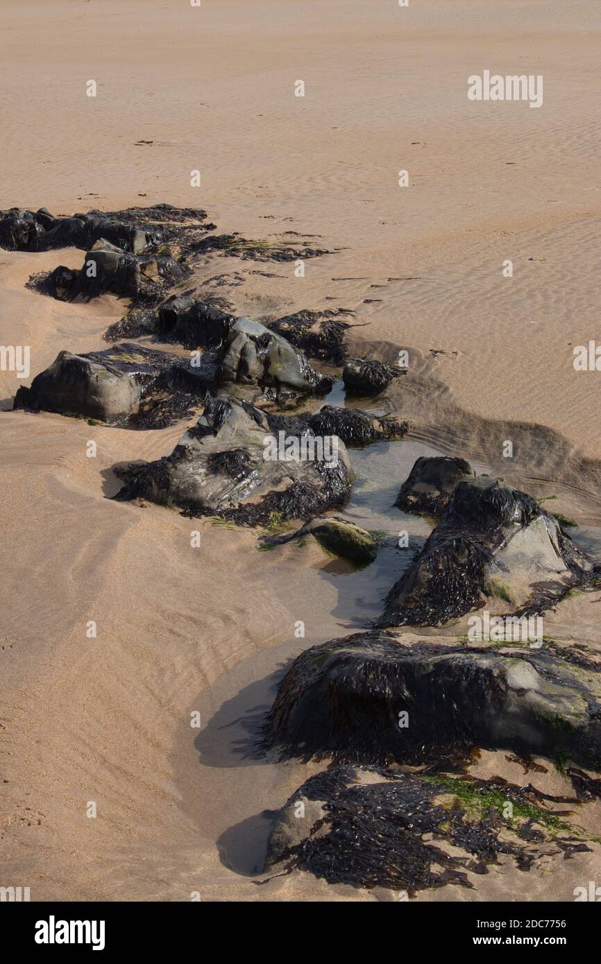 Rockpool on a Sandy Beach Stock Photo - Alamy
