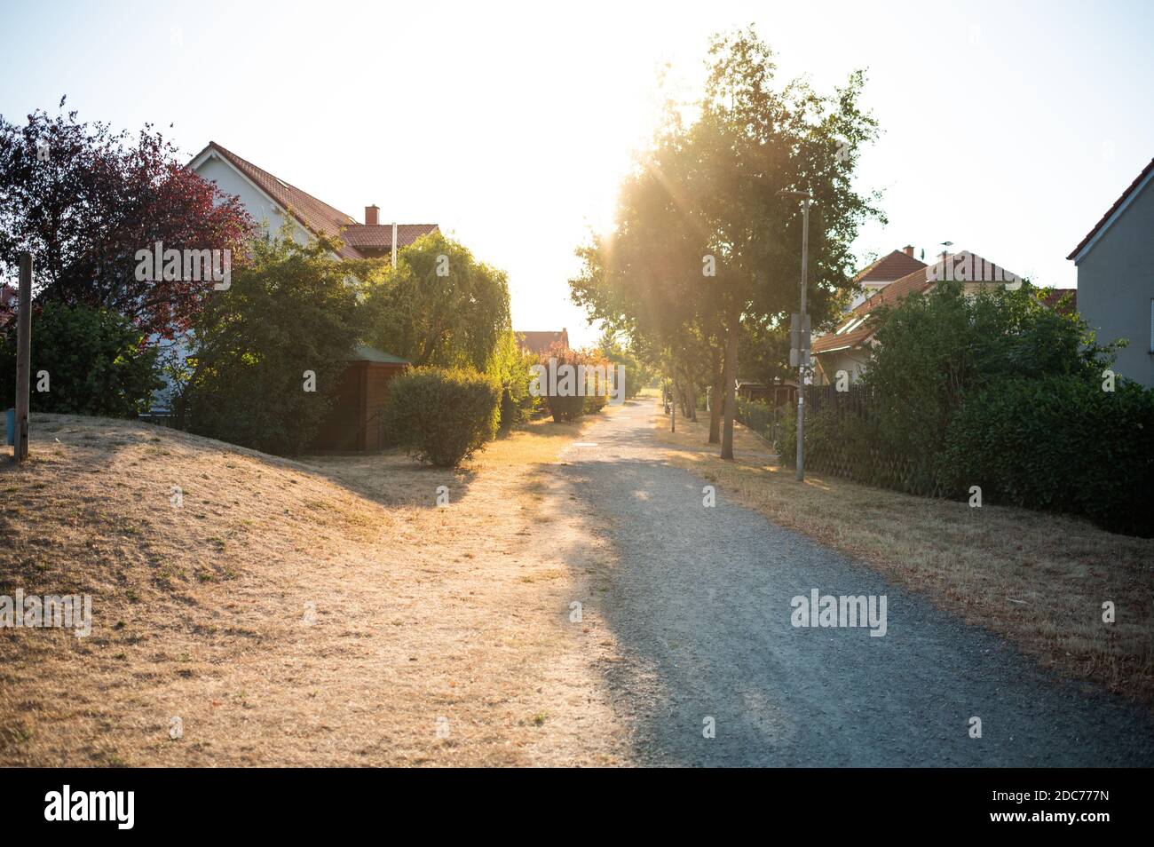 backlit park in a small town Stock Photo - Alamy
