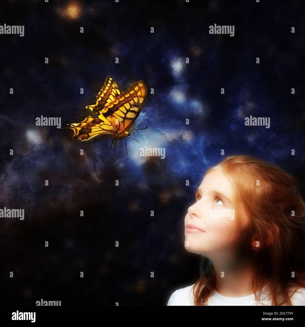 Concept transformation of butterfly hi-res stock photography and images ...