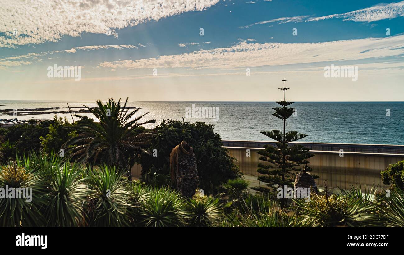 Parque genoves cadiz hi-res stock photography and images - Alamy