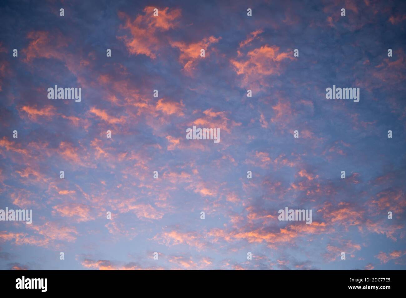 morning sky with many small clouds that are illuminated by the sun in ...