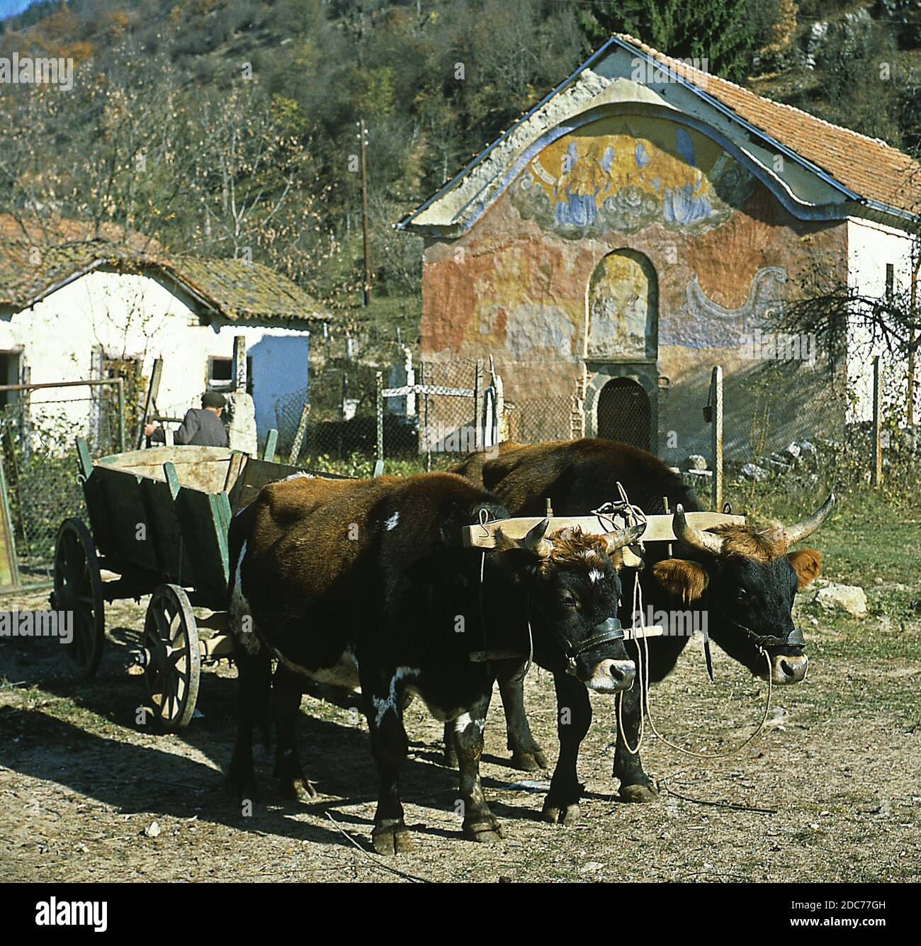 20th century art in bulgaria hi-res stock photography and images - Alamy