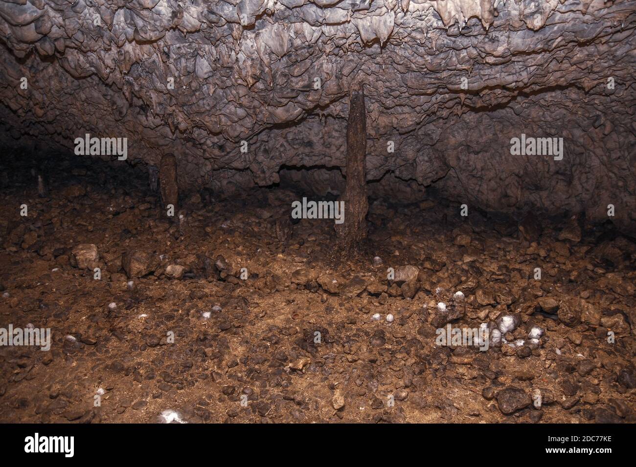 Cave stalagmite stalactite pillar hi-res stock photography and images ...